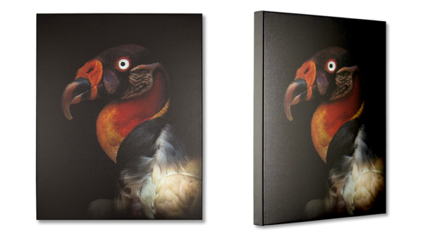 What Is a Gallery-Wrapped Canvas? | Canvas Edge Options