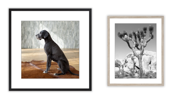 Matted vs. Mounted Prints: What’s the Difference?