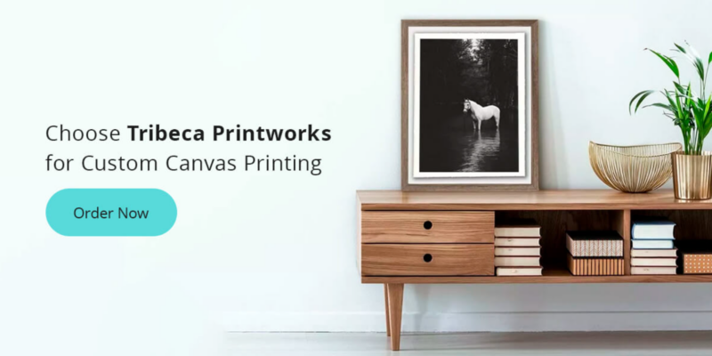 PPI for Printing | What is a Good Pixels Per Inch for Prints